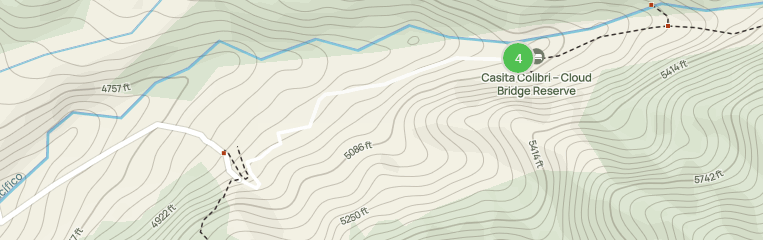 Best Hikes and Trails in Cloudbridge Nature Reserve | AllTrails