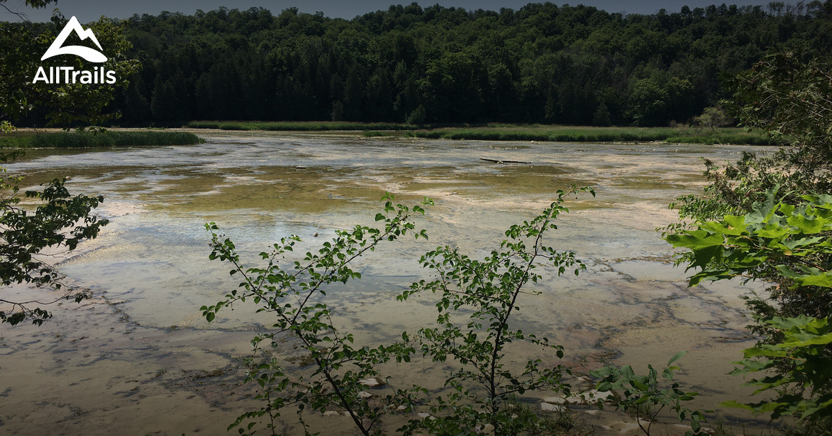 Best hikes and trails in Falls Reserve Conservation Area | AllTrails