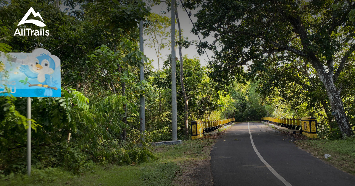 Best forest trails in Alas Purwo National Park | AllTrails