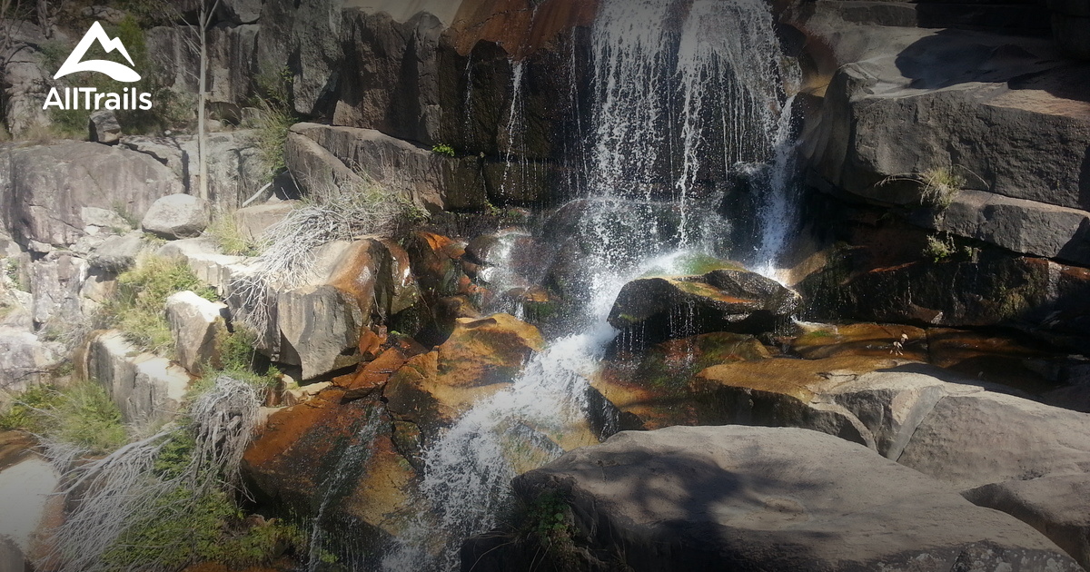 10 Best hikes and trails in Gibraltar Forest | AllTrails