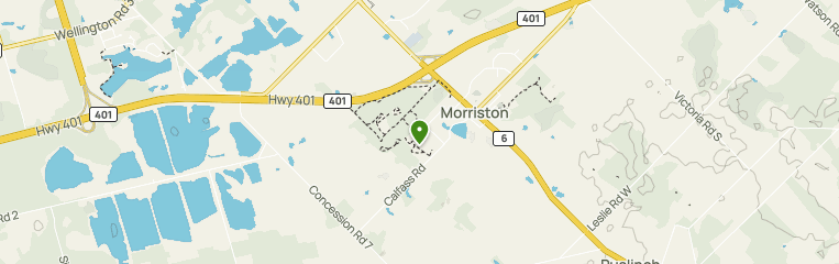 Best Hikes and Trails in Morriston Woods | AllTrails