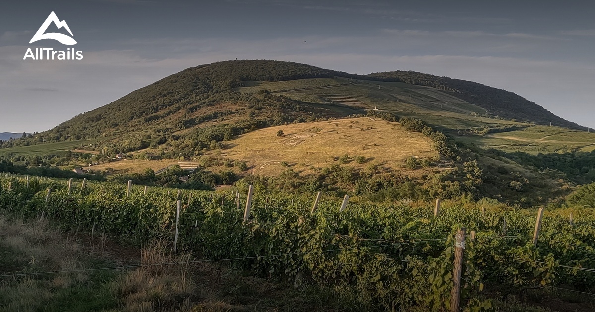 Bükk Nationalpark: Die 10 besten Routen zum Wandern | AllTrails