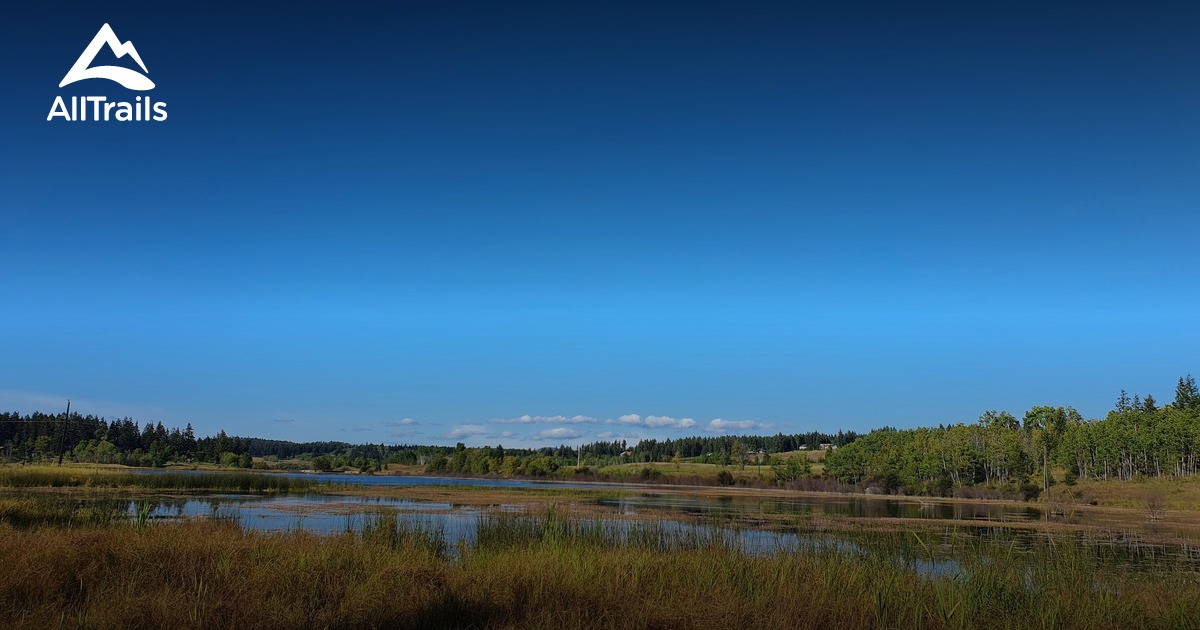 Best hikes and trails in 108 Mile Ranch | AllTrails