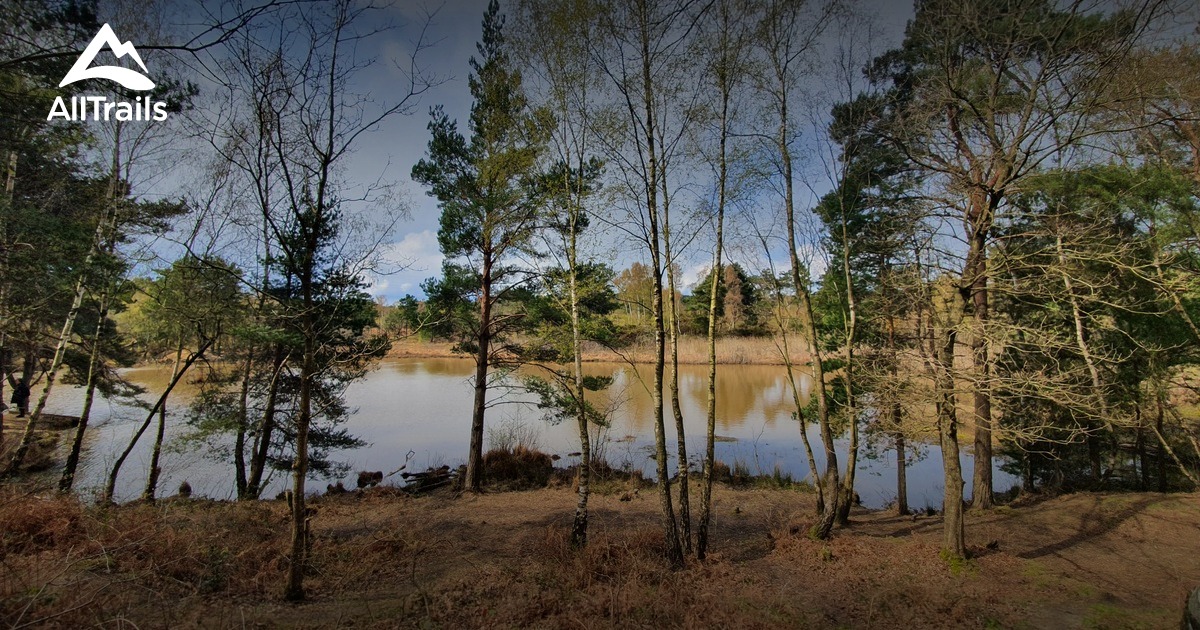 Best hikes and trails in Upton Heath Nature Reserve | AllTrails