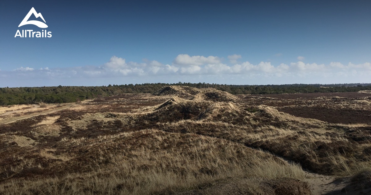 10 Best bird watching trails in Wadden Sea National Park | AllTrails