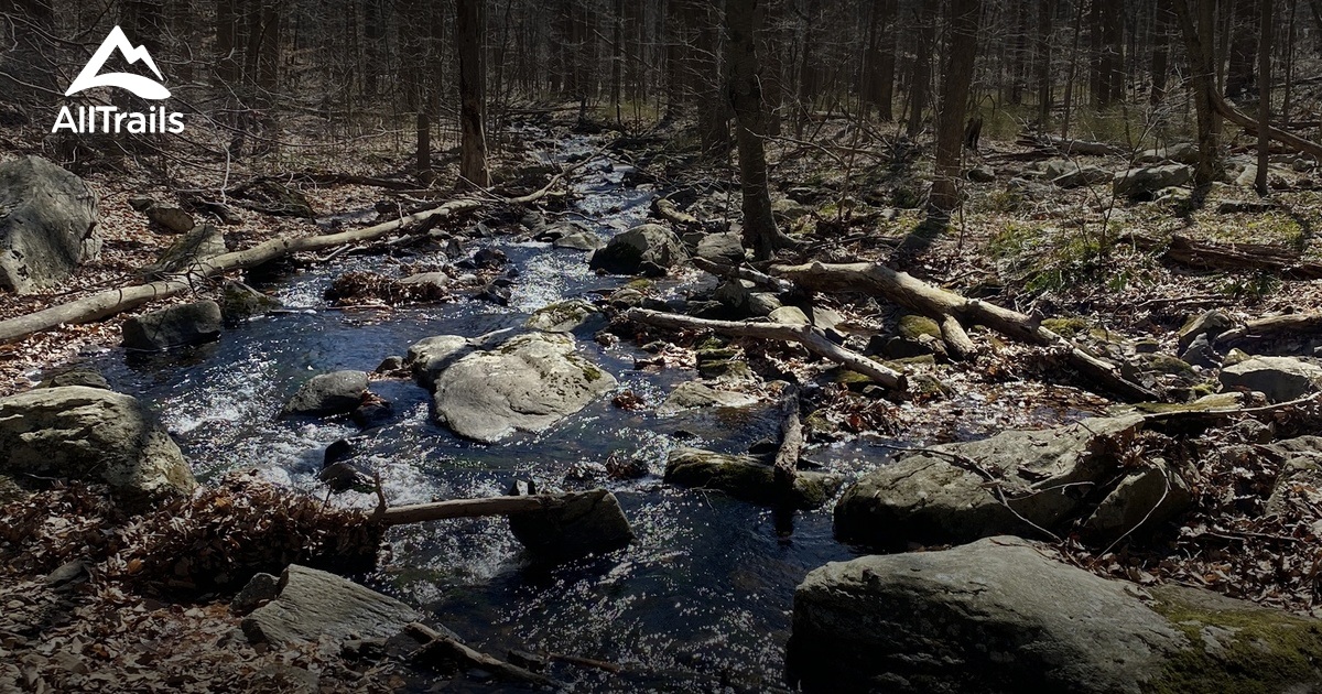 Best hikes and trails in Dismal Harmony Natural Area | AllTrails
