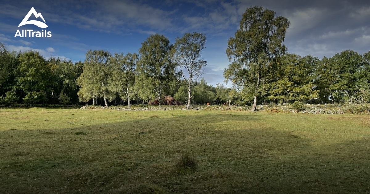 Best hikes and trails in Klöva hallar naturreservat | AllTrails