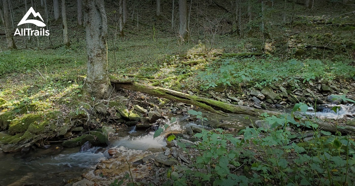 Best hikes and trails in Bald Mountain Creek Preserve | AllTrails