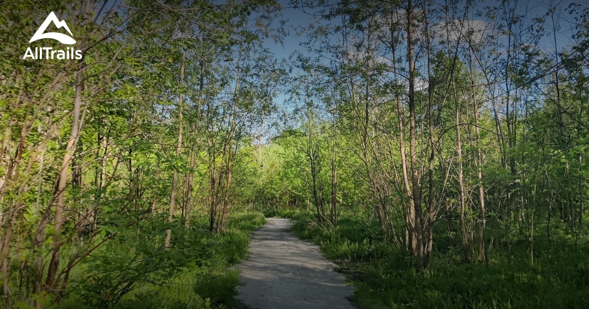 Best hikes and trails in Deer Run Park | AllTrails