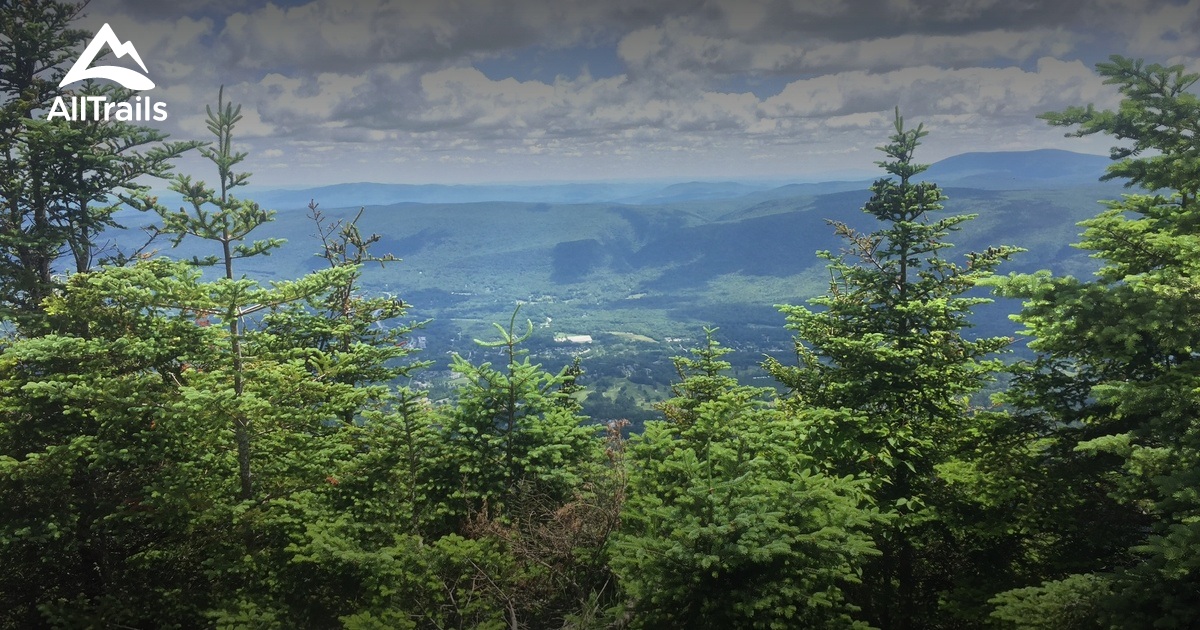 Los mejores senderos por bosque en Equinox Preservation Trust | AllTrails