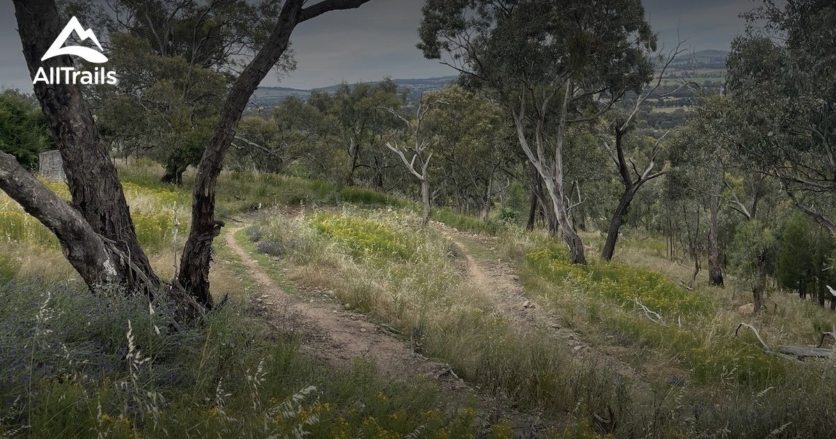 Best hikes and trails in Jindalee National Park | AllTrails