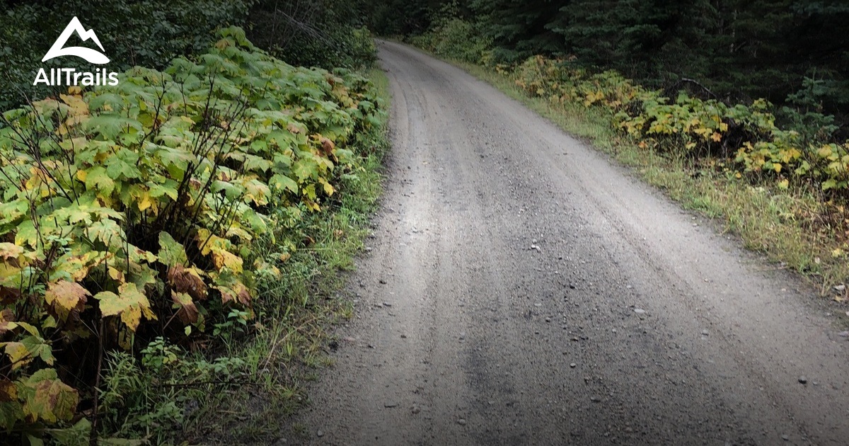 Best hikes and trails in Chute Lake Recreation Site | AllTrails