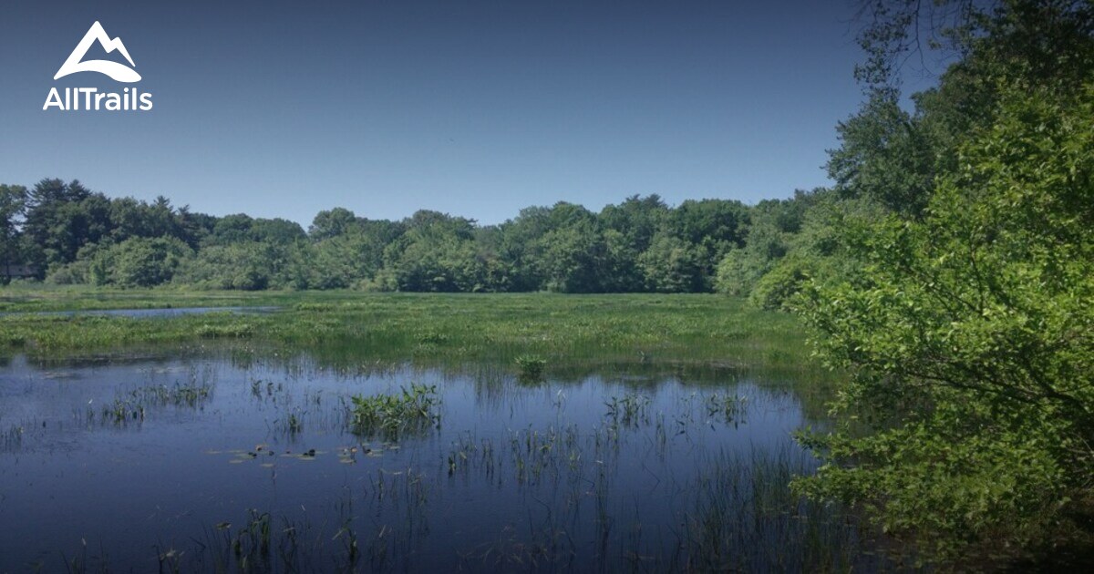 Best short trails in Merrill S. Whipple Conservation Area | AllTrails