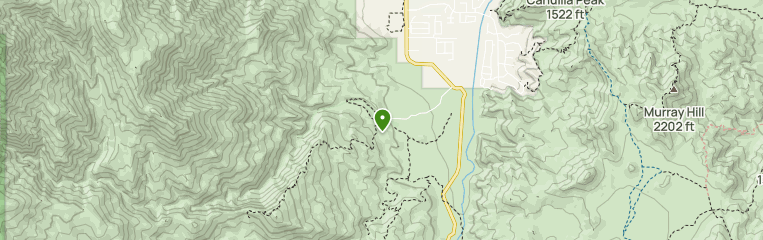 Best Hikes and Trails in Cahuilla Native American Land - Indian Canyons ...