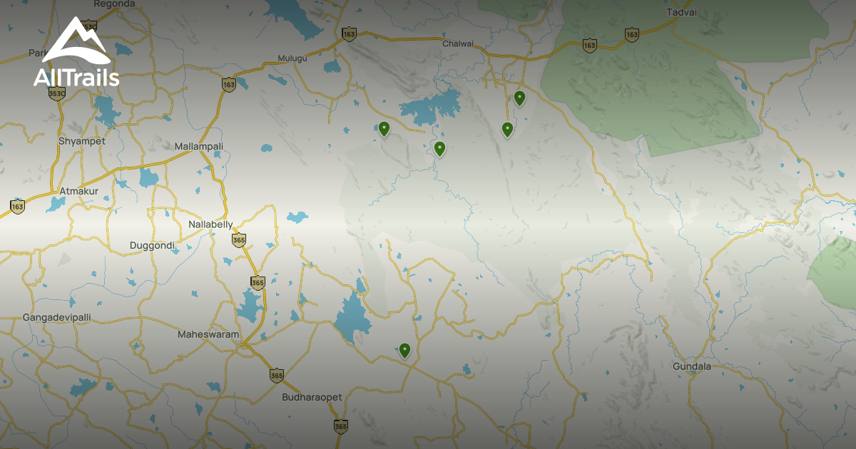 Best hikes and trails in Pakhal Wildlife Sanctuary | AllTrails