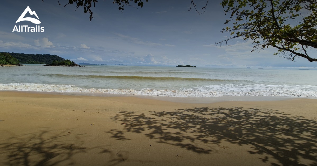 Best hikes and trails in Gunung Arong Recreational Forest | AllTrails