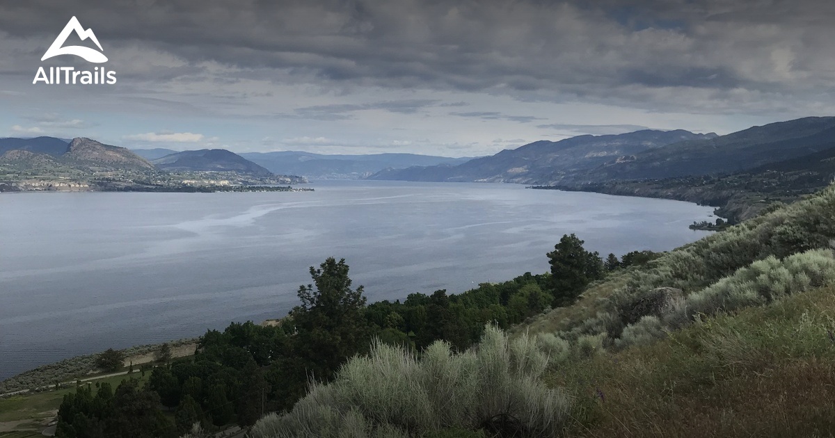 Best hikes and trails in Mount Munson Park | AllTrails