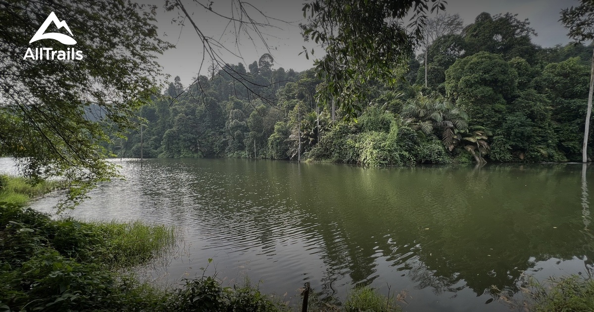 Best trail running trails in Sungai Long Hill Park | AllTrails