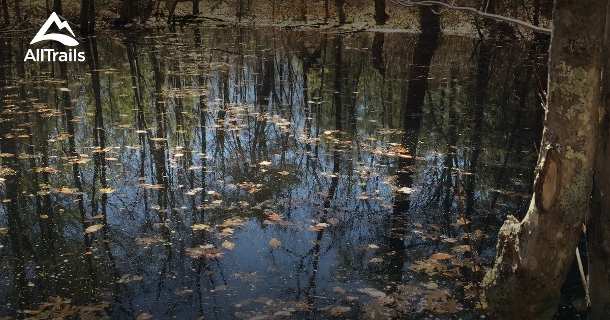 Best hikes and trails in Beverly Commons | AllTrails