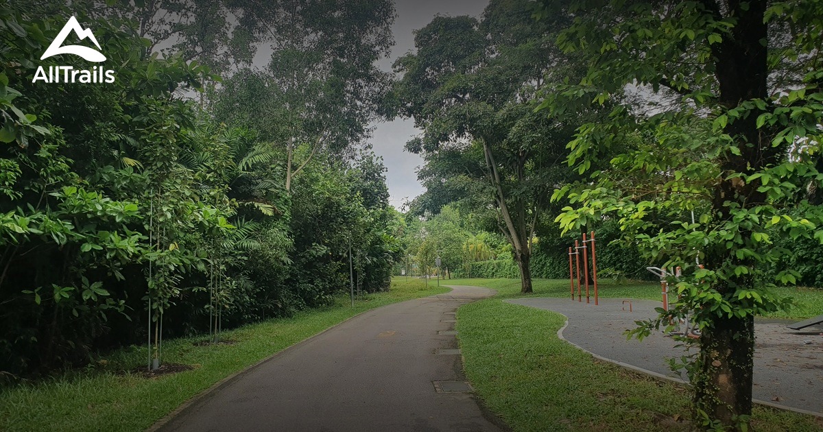 Best hikes and trails in Pasir Ris Park | AllTrails