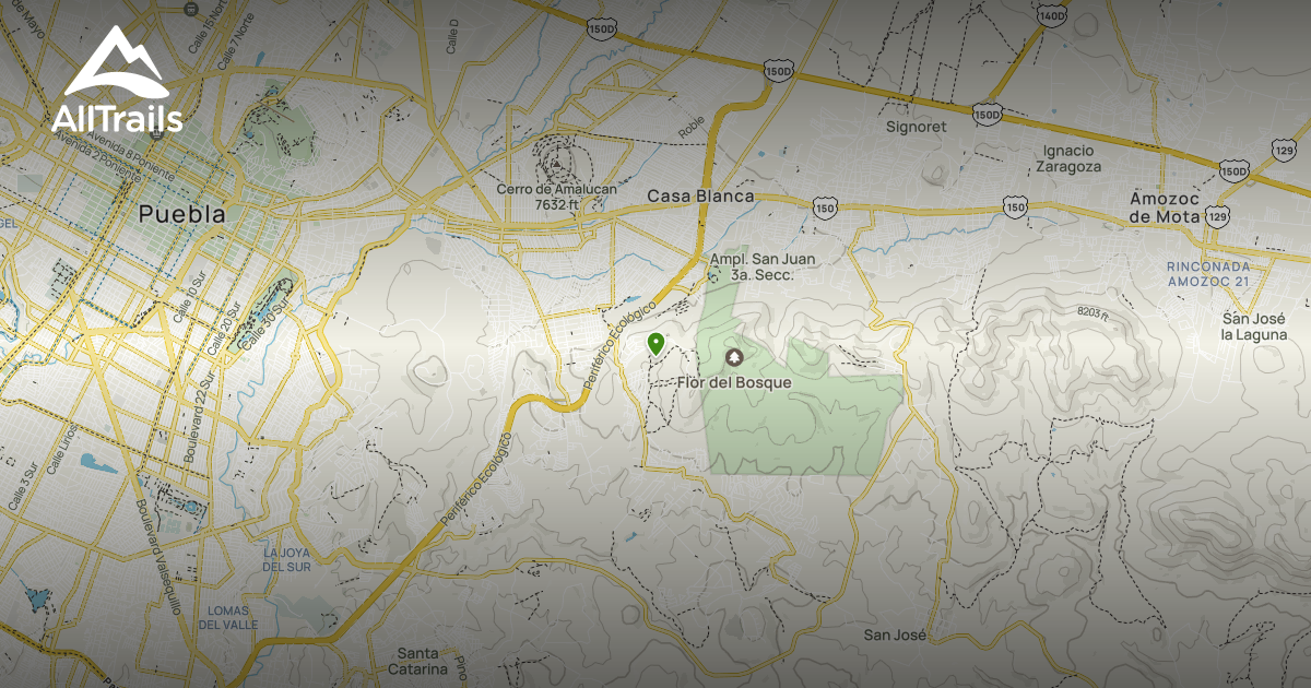 Best hikes and trails in Reserva Estatal Flor del Bosque | AllTrails