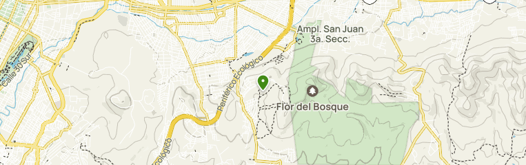 Best Hikes and Trails in Reserva Estatal Flor del Bosque | AllTrails
