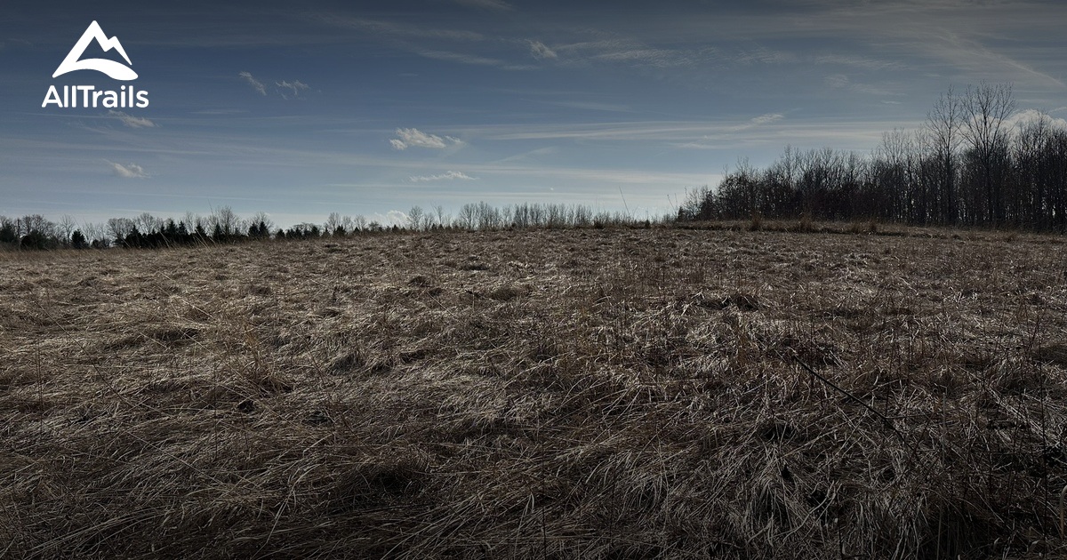 Best hikes and trails in Camp Cullom | AllTrails