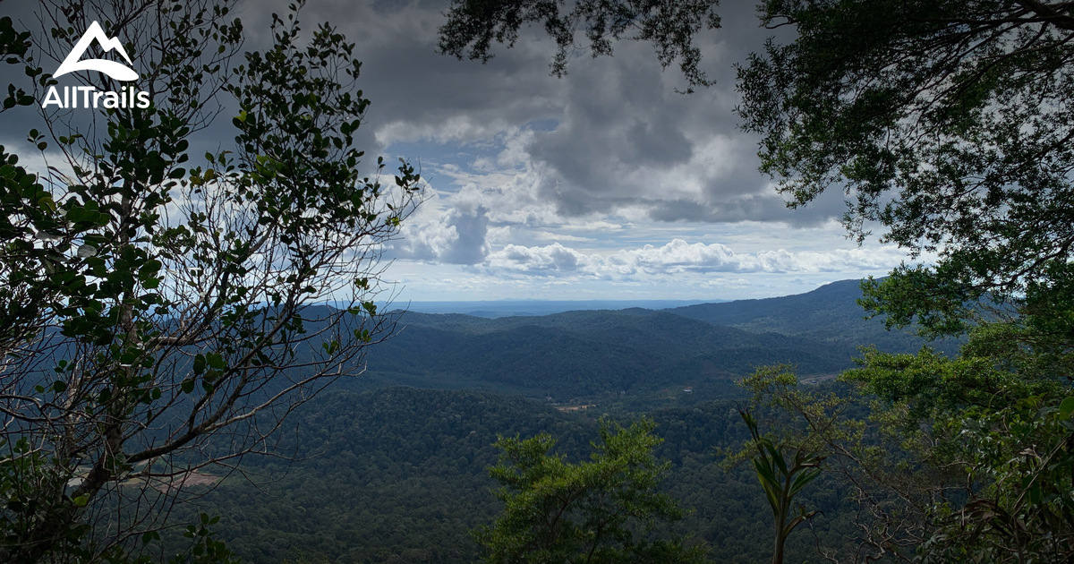 Hutan Lipur Gunung Panti: de beste routes om te wandelen | AllTrails