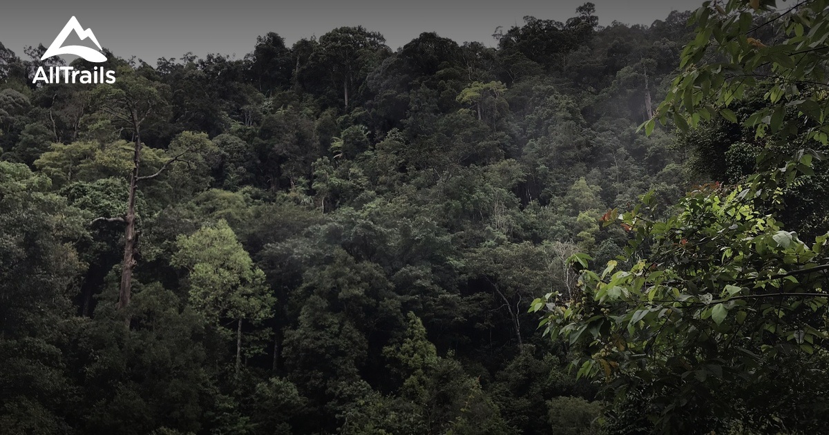Best hikes and trails in Hutan Lipur Chamang | AllTrails