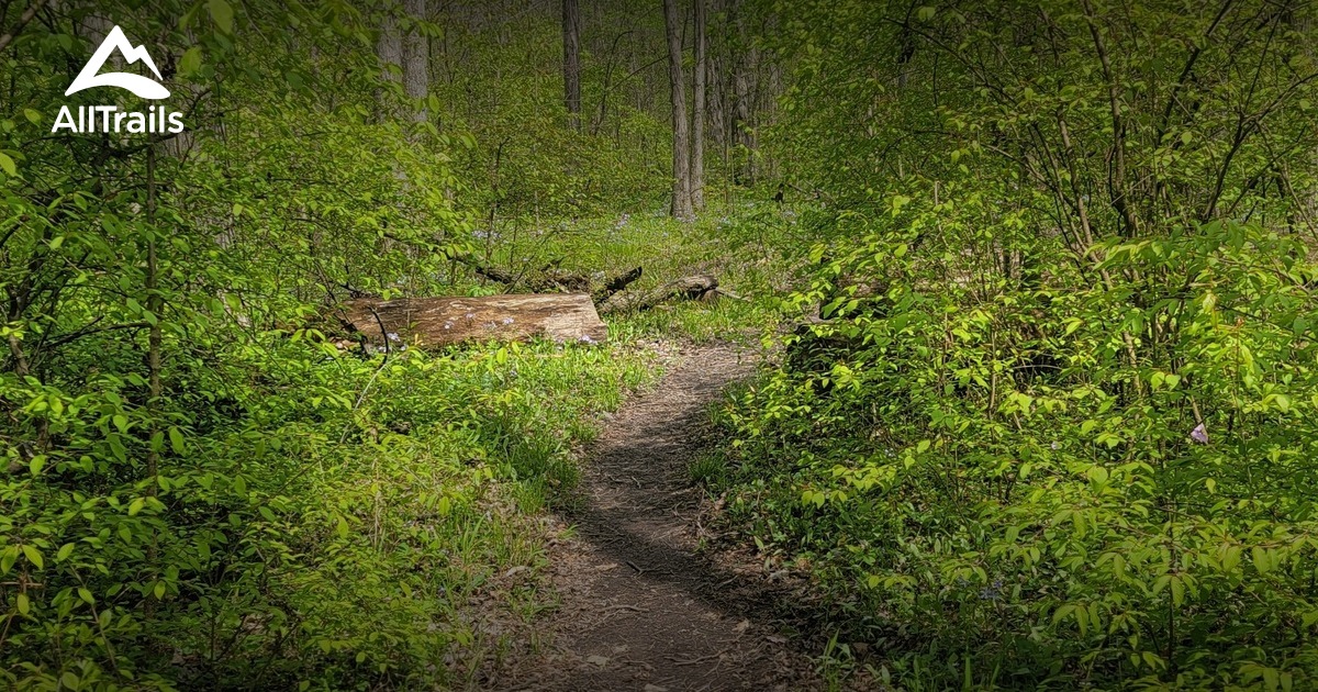 Best hikes and trails in McVey Memorial Forest | AllTrails