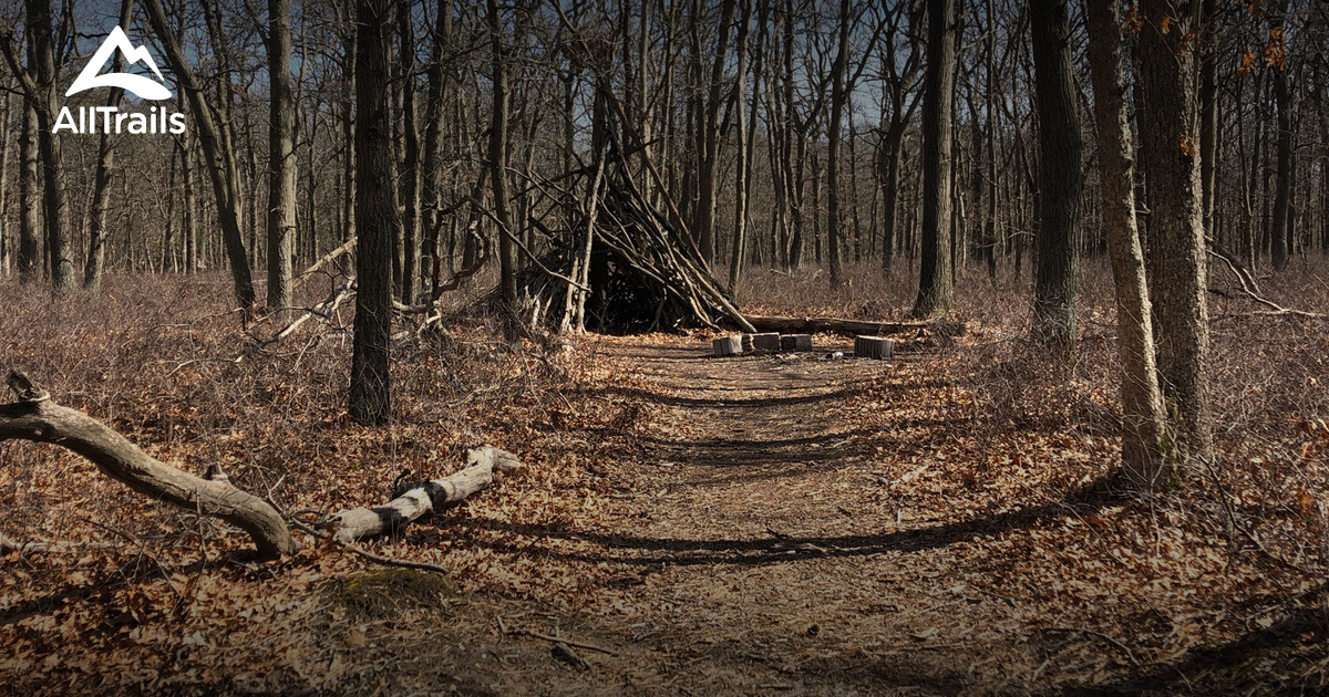 Best hikes and trails in Fish Thicket Preserve | AllTrails