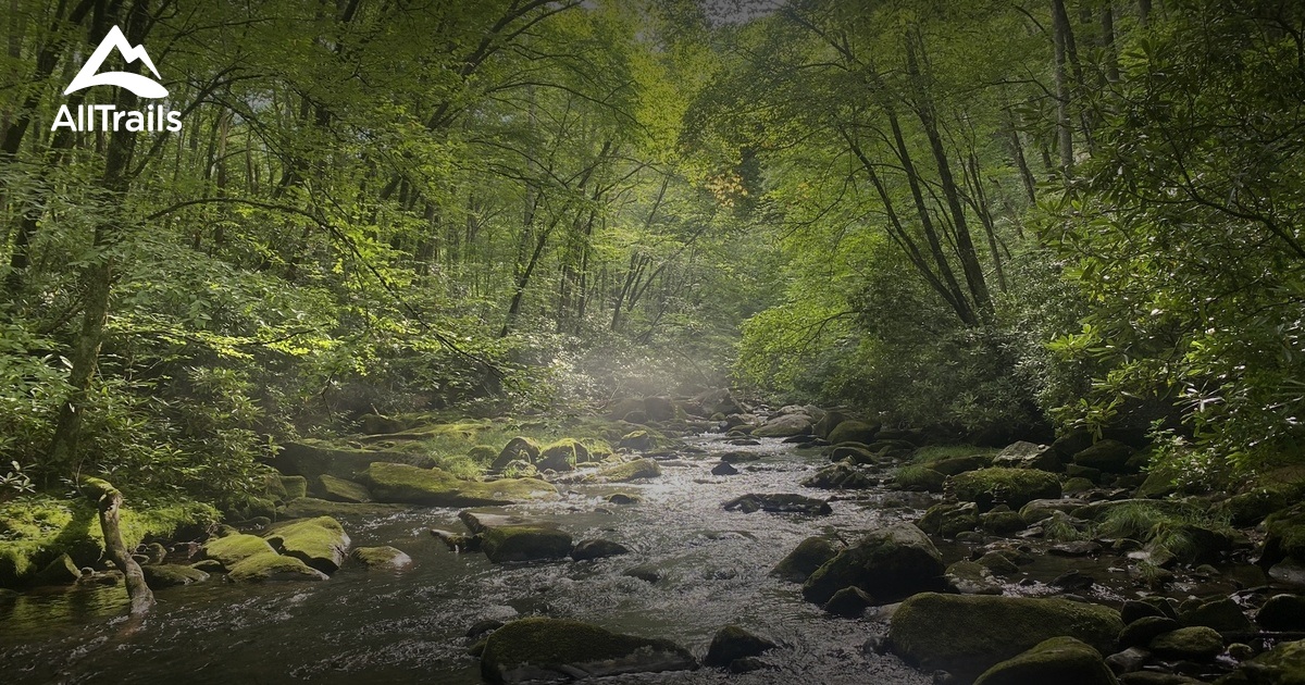 Best hikes and trails in Snowbird Wilderness Study Area | AllTrails