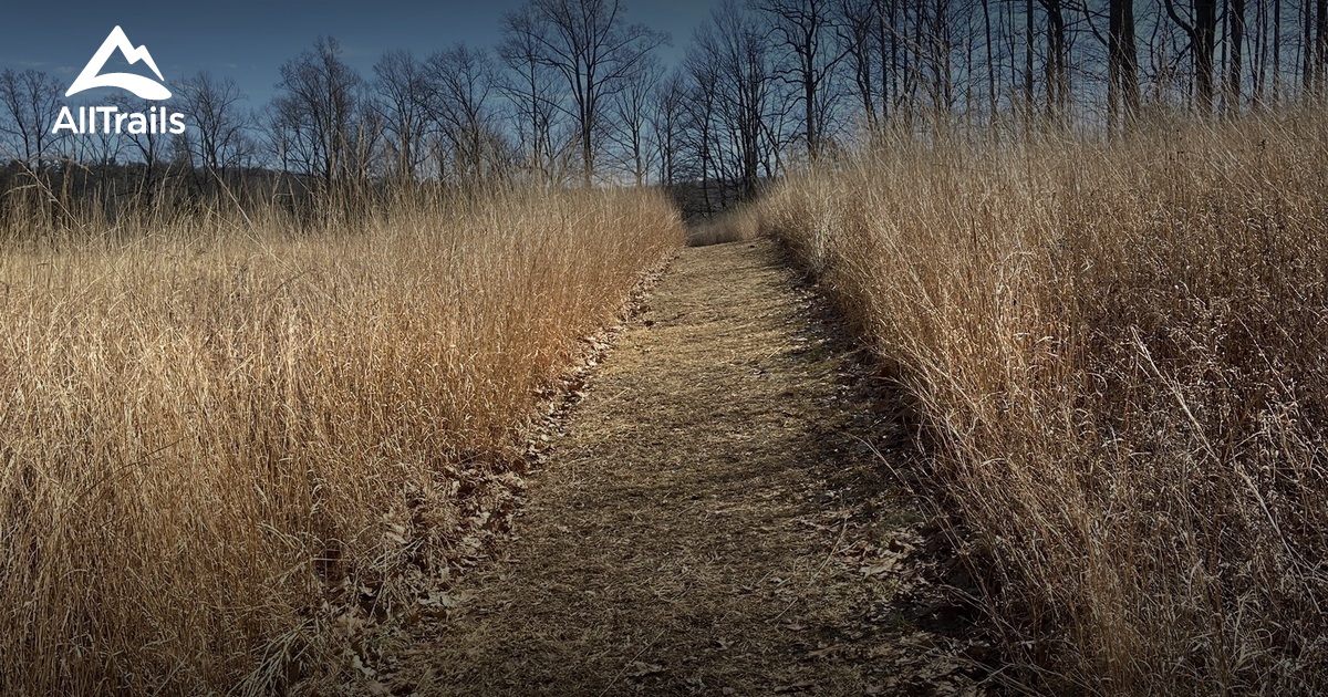 Bedste fugleruter i Morris County Park Commission | AllTrails