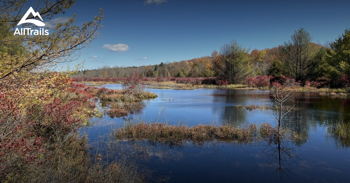 Best hikes and trails in The Nature Conservancy Thomas Darling Preserve ...