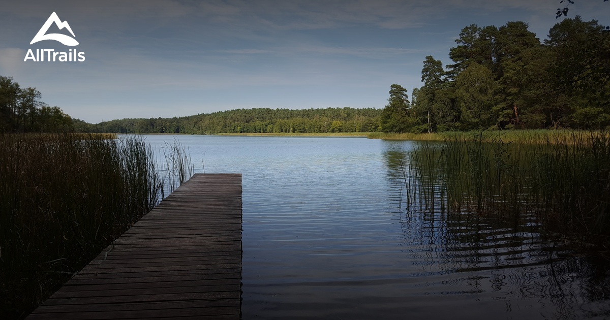 10 Best hikes and trails in Drawa National Park | AllTrails