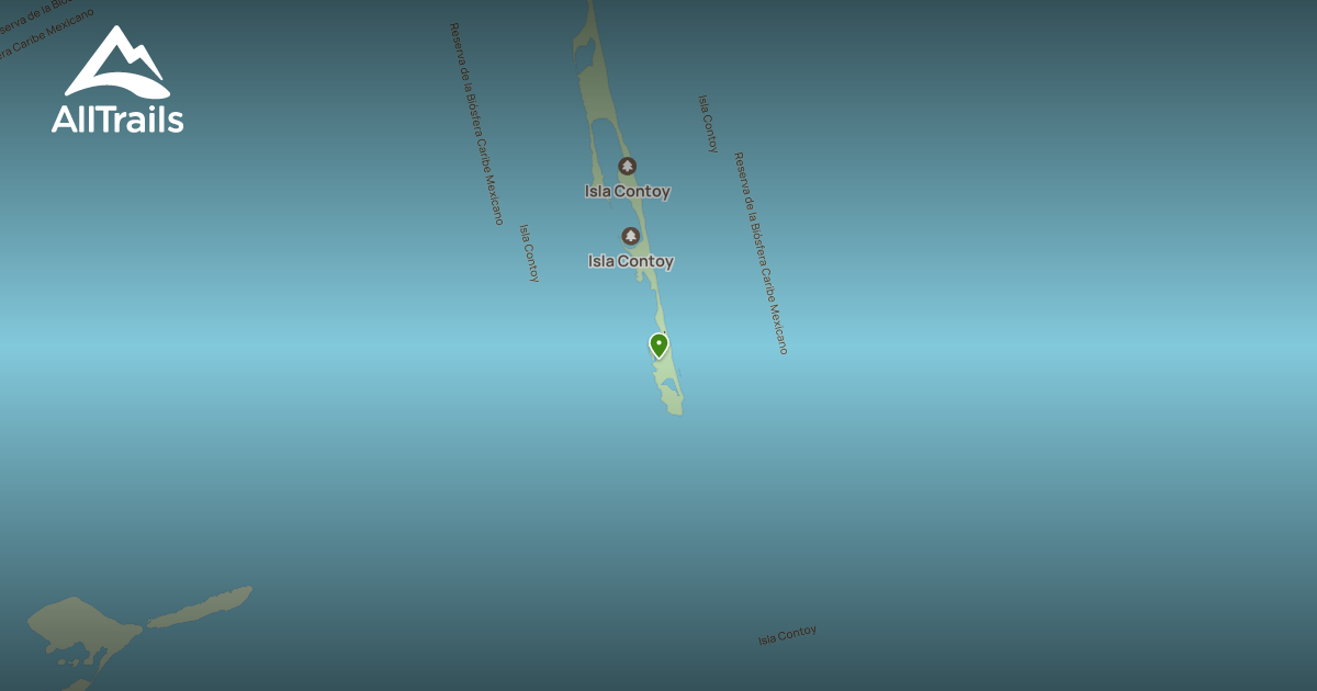 Best hikes and trails in Contoy Island National Park | AllTrails