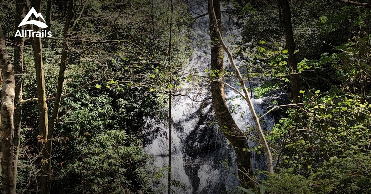 Best hikes and trails in Enota Mountain Retreat | AllTrails