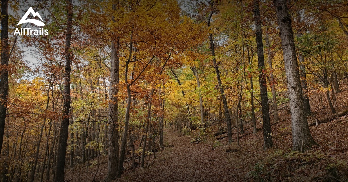 Best hikes and trails in Shrine Mont | AllTrails