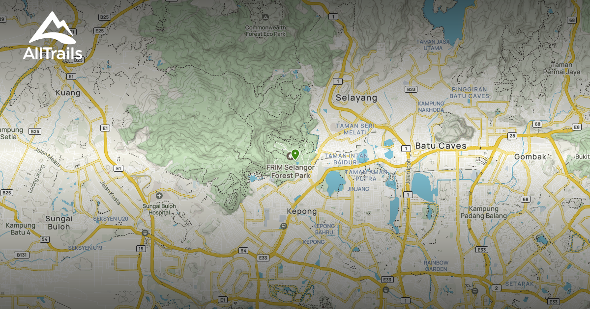 Best hikes and trails in FRIM Selangor Forest Park | AllTrails