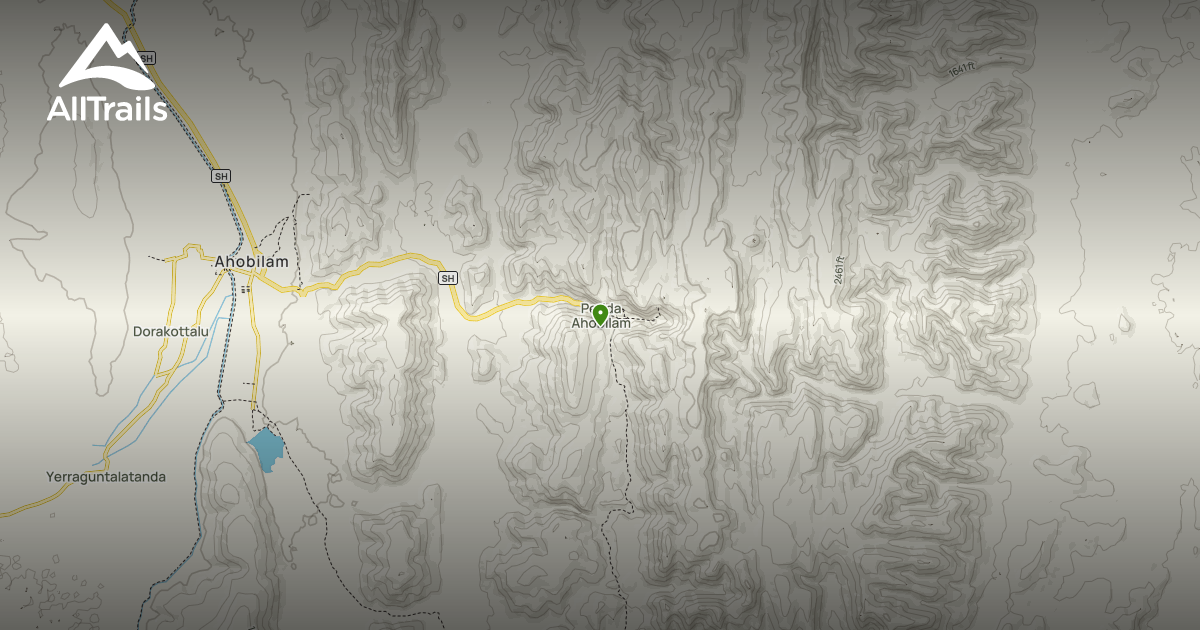 Best hikes and trails in Nallamala Forest | AllTrails