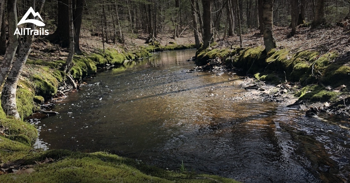 Best easy trails in Broadturn Farm | AllTrails