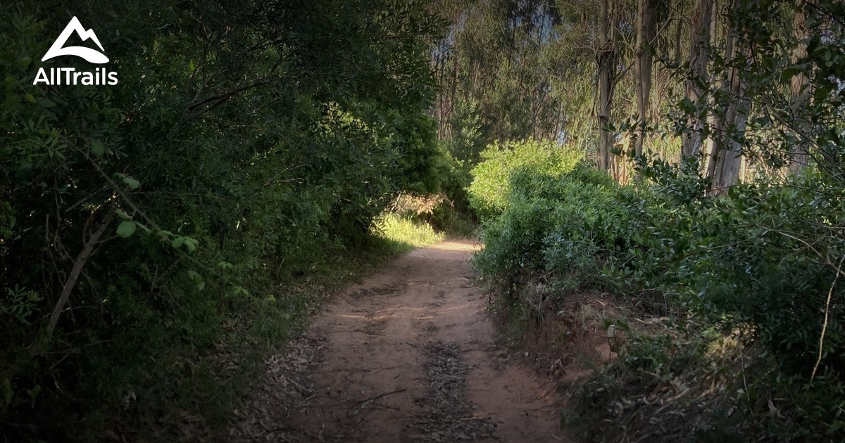 10 Best hikes and trails in Parque Florestal da Serra da Boa Viagem ...