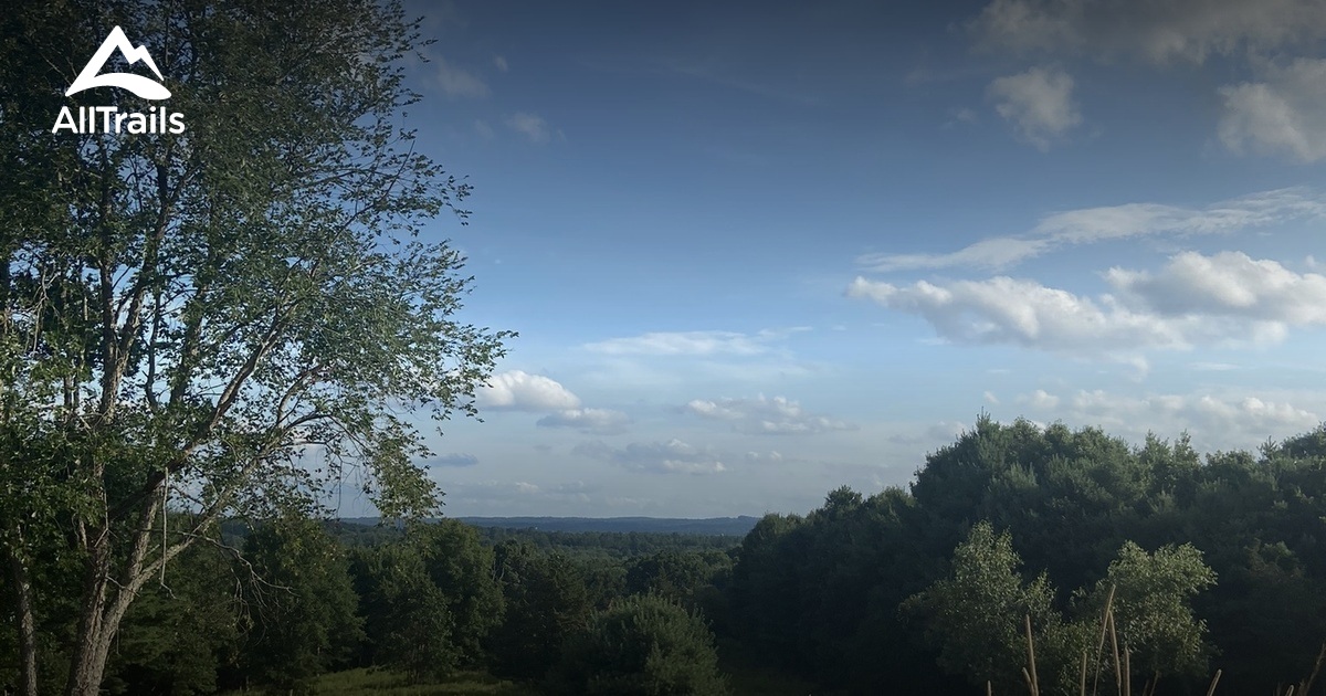 Best hikes and trails in Crane Swamp Conservation Area | AllTrails