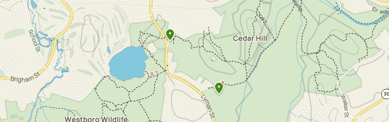 Best Hikes and Trails in Crane Swamp Conservation Area | AllTrails