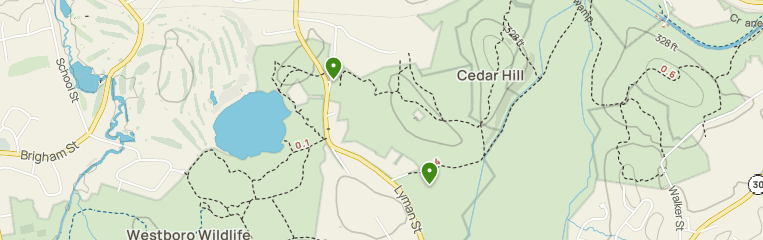 Best Hikes and Trails in Crane Swamp Conservation Area | AllTrails