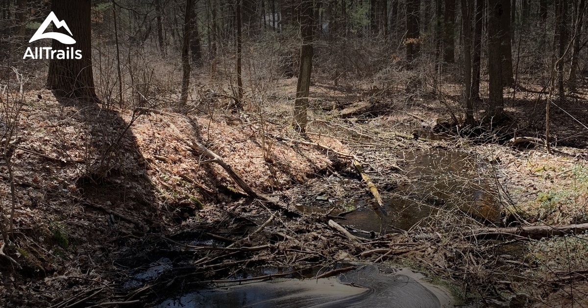 Best hikes and trails in Gray Conservation Land | AllTrails