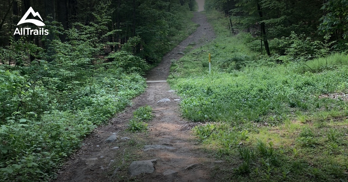 Best hikes and trails in Baiting Brook-Welch Conservation Land | AllTrails