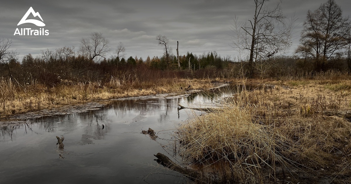 Best easy trails in Pierce Cedar Creek Institute | AllTrails