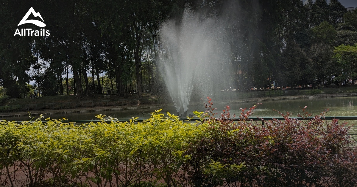 Best lake trails in Taman Tasik Menjalara | AllTrails