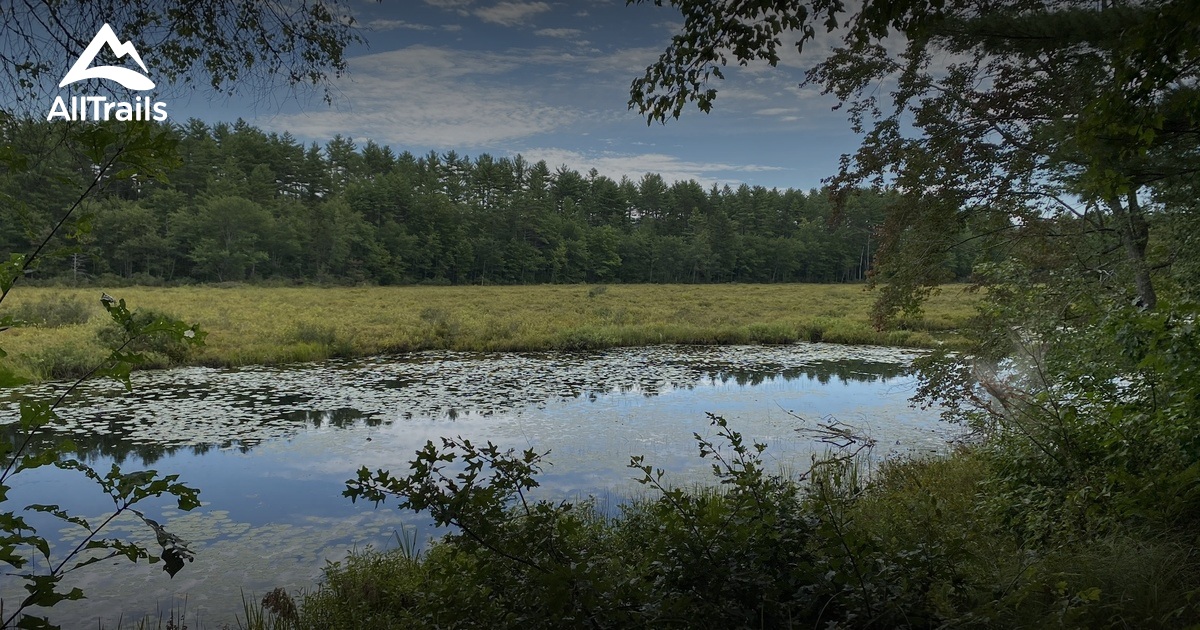 Best hikes and trails in Perley Mills Community Forest | AllTrails